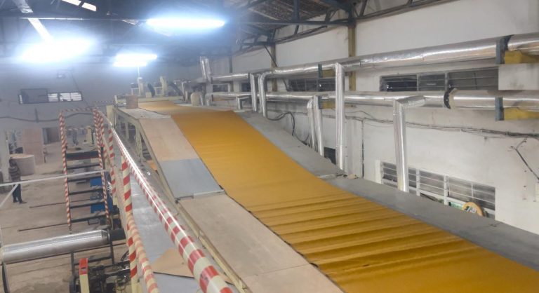 OVER HEAD BRIDGE CONVEYOR – SunUp.in